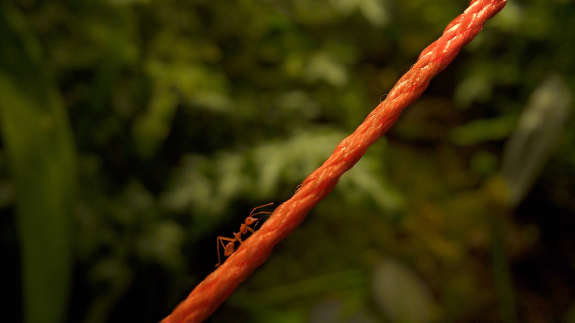 What’s coming in art - EQ. Magazine